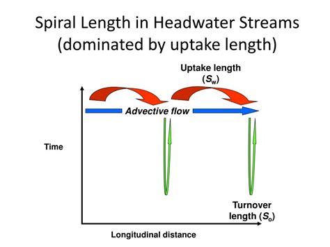 Ppt Stream Nutrient Processing Spiraling Removal And Lotic Eutrophication Powerpoint