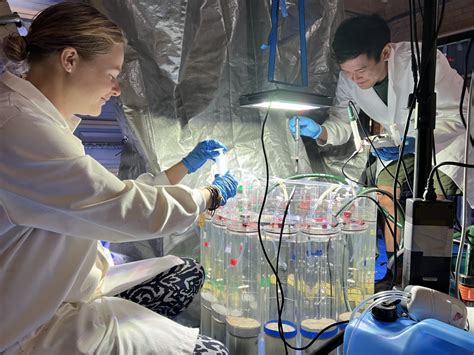 Sediment Samples At The Core Of A Model Project Western Australian Marine Science Institution