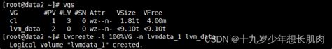 linux多块硬盘挂载到同一目录 linux两个硬盘挂载同一目录 csdn博客