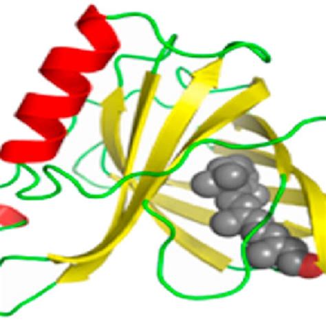 Chemical Structure Of Sitagliptin 28 Download Scientific Diagram