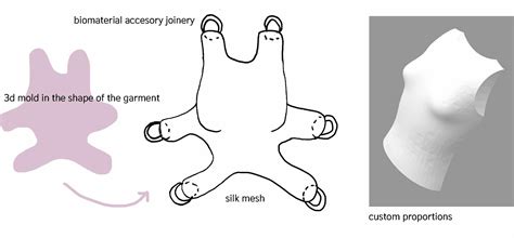MESH Process Anna Cain