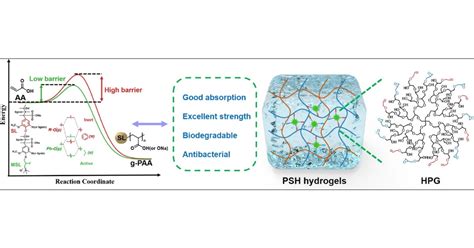 High Toughness And Biodegradable Superabsorbent Hydrogels Based On Dual Functional Crosslinkers