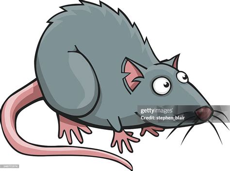 Cartoon Rat High Res Vector Graphic Getty Images