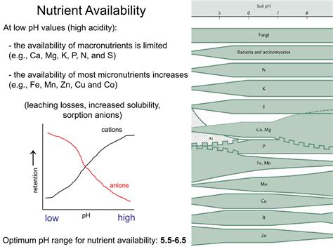 Soil Acidity Soil Science 2600 Pdf