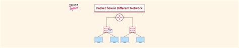 Packet Flow In Different Network Scaler Topics