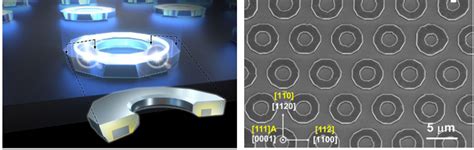 Bottom Up And Chip Scale Growth Of Microring Lasers