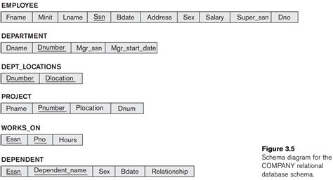 Solved Specify The Following Queries On The Company