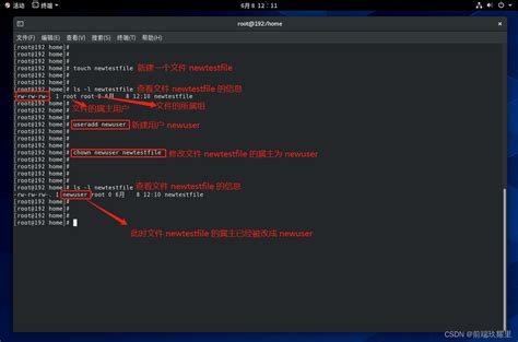 39 【linux教程】修改文件所属关系 linux修改文件所属 csdn博客