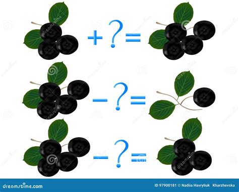 Action Relationship Of Addition And Subtraction Examples With Black Chokeberry Educational