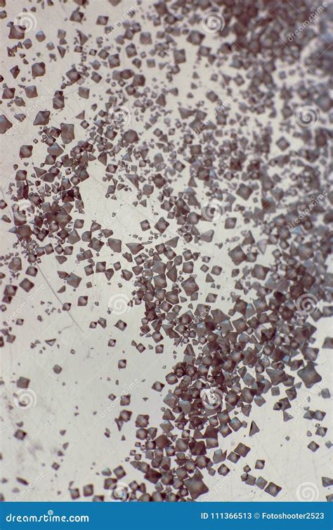 Salt Crystal Closeup Scene In The Kitchen Stock Image Image Of Closeup Crystal 111366513