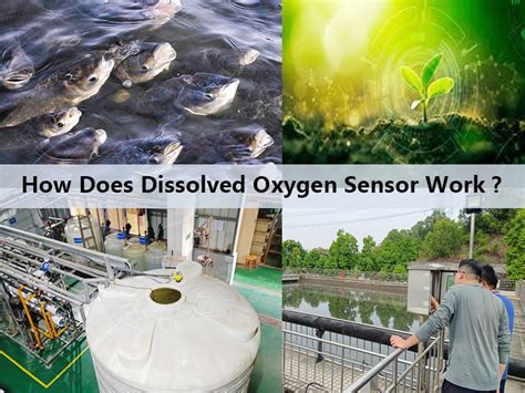 How Does Dissolved Oxygen Sensor Work