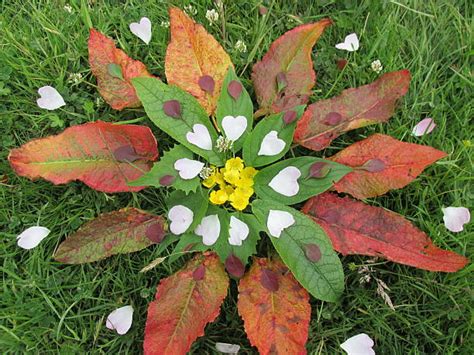 470개 이상의 대지 예술 스톡 사진 그림 및 Royalty Free 이미지 Istock