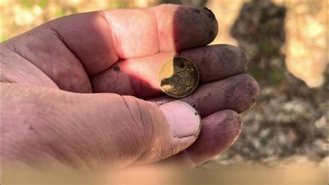 კოდალა Youtube