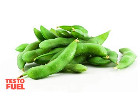 Does Soy Lower Testosterone The Myths And Reality Testofuel Blog