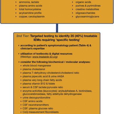 Two Tiered Algorithm For Diagnosis Of Treatable IEMs In IDD The First