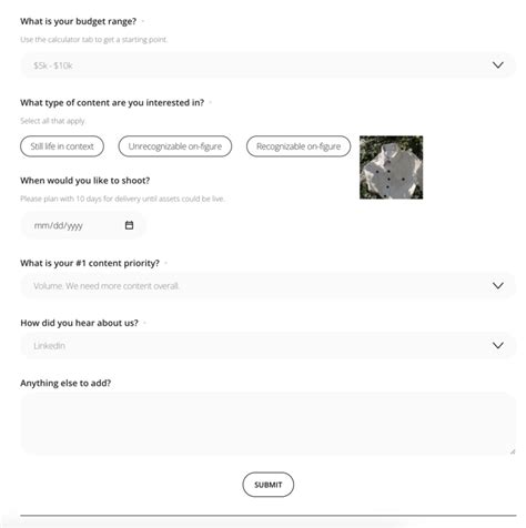 Add Custom Hover To Options In A Form Customize With Code Squarespace Forum