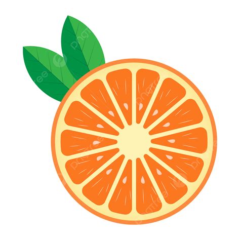 Orange Slice Vector Fresh Orange And Slices Isolated On White