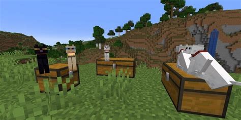 How To Breed And Tame Cats In Minecraft Pocket Gamer