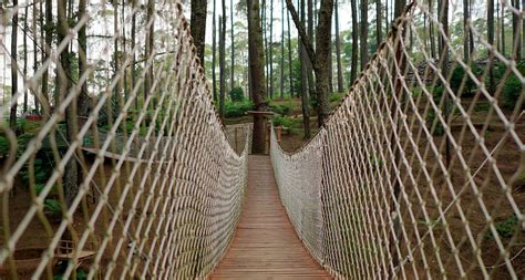 P2p Networking Webrtc Vs Libp2p Vs Iroh Medium