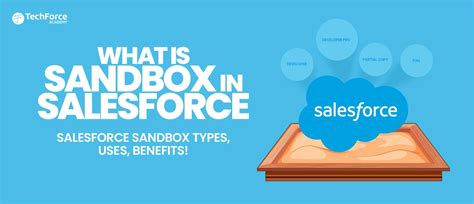 What Is Sandbox In Salesforce Types Uses Benefits Photo 22370