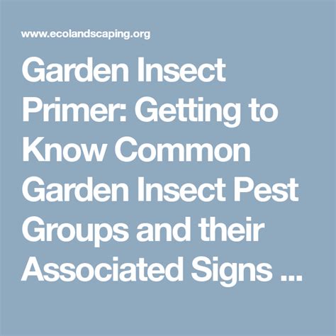 Discover The Fascinating World Of Garden Insects