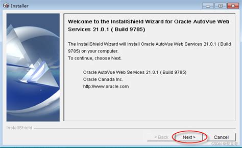 Oracle Autovue 服务器桌面版webservicesdk安装autovue Web安装 Csdn博客