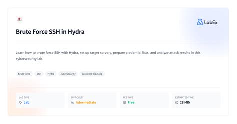 Hydra Practical Labs Mastering Brute Force Attacks On Telnet Ssh