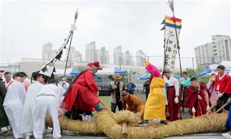 용인시 수지구 독바위 줄다리기 축제 400여명 참여 Nsp통신