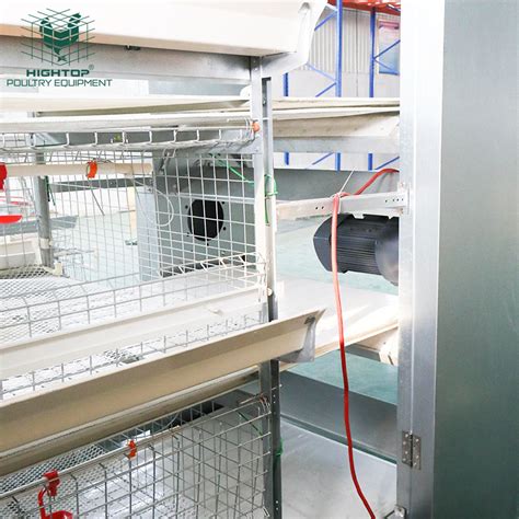 Galvanized Steel Broiler Poultry Farm Equipment H Type Battery Broiler