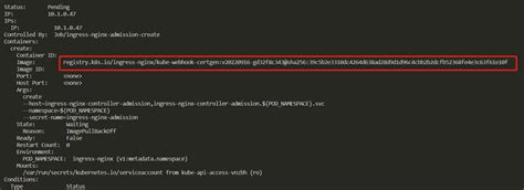 K8s 125 上的 Nginx Ingress 140 安装问题 张善友 博客园
