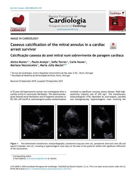 Pdf Caseous Calcification Of The Mitral Annulus In A Cardiac Arrest Survivor