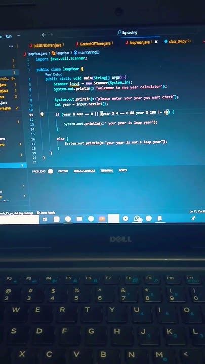 Codingloverstaus Coding Codinglover Turtle Codinglove Python
