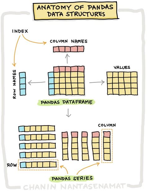 💡 With This Guide Master Pandas For Data Science Dojo