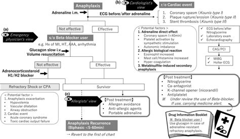 Flowchart For Anaphylaxis Treatment Authors Original A Emergency Download Scientific