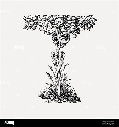 Skeleton Tree Clipart Drawing Illustration Vector Stock Vector Image
