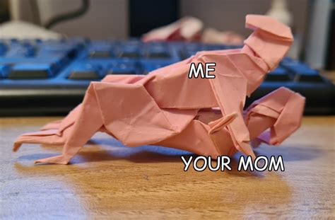 Origami Art As Sex Position R Memetemplatesofficial