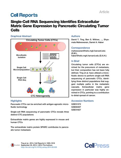 Pdf Single Cell Rna Sequencing Identifies Extracellular Matrix Gene Expression By Pancreatic