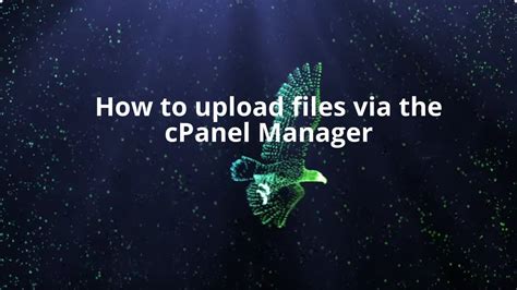 How To Upload Files Via The Cpanel File Manager With Eaglecoast Hosting Youtube