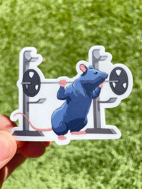 Gym Rat Squat Sticker Bodybuilding Sticker Workout Sticker Etsy