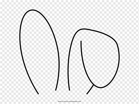 유럽 토끼 Auricle Drawing 색칠하기 책 토끼 각도 화이트 어린이 Png Pngwing