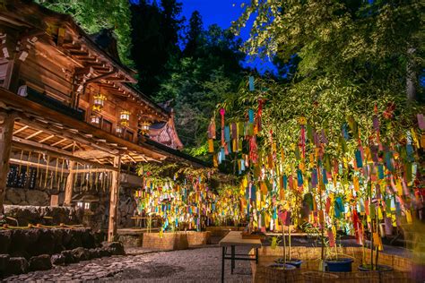七夕っていつ七夕におすすめの花の種類と花言葉物語由来笹を使う理由も紹介 花だより