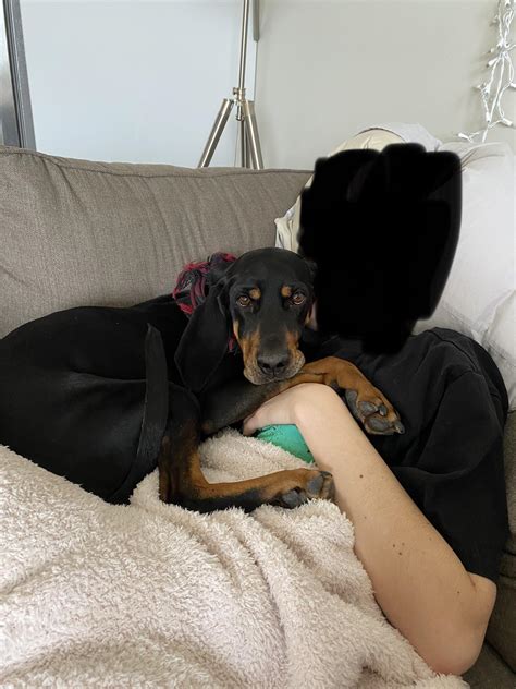 Lazy Sunday Scrolller