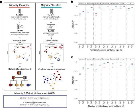 Mandm An Rna Seq Based Pan Cancer Classifier For Paediatric Tumours