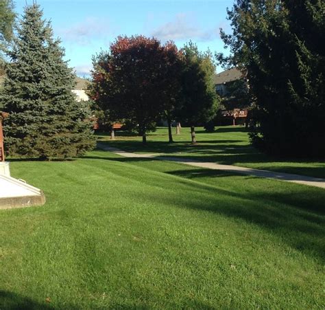 Crabgrass Vs Quackgrass Whats The Difference Lehigh Lawns And Landscaping Inc