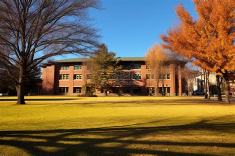 美丽的校园高清图片下载 正版图片600262507 摄图网