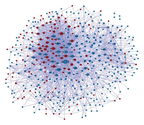 construction of ppi network and module mining analysis a ppi network