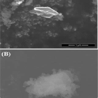A SEM Image Of Activated Carbon B SEM Image Of TiO Activated Carbon Download Scientific