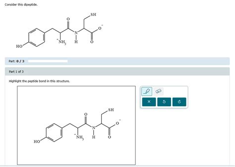 solved consider this dipeptide part 0 3 part 1 ﻿of