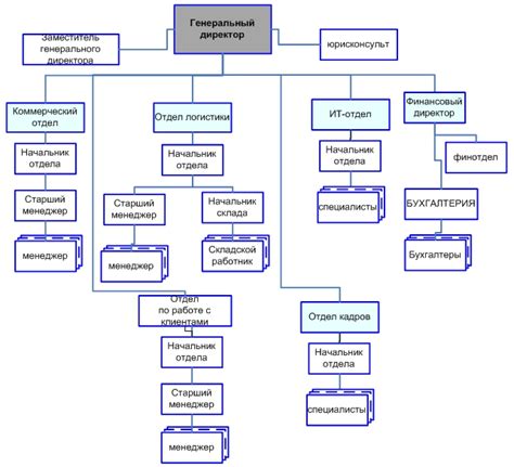 Организационная Структура Сетевого Магазина — Xxx