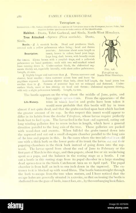 This Work Details The Economic Importance Of Forest Insects In India Exploring Their Role In